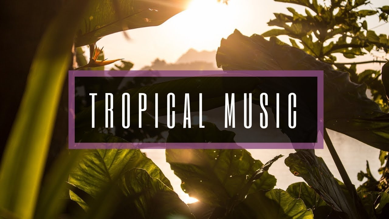 Tropical Music - No 1 _ Del Summertime Vibes [Download] - YouTube