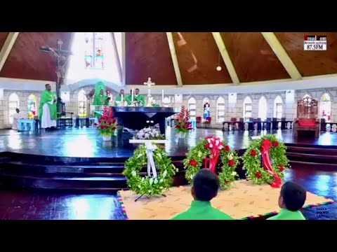 Ouau Misa Fakamanatu Ta'u 1 Hili 'ae Pa Mo'ungaafi Hunga Tonga Hunga Ha'apai moe Hake 'ae Peau Kula