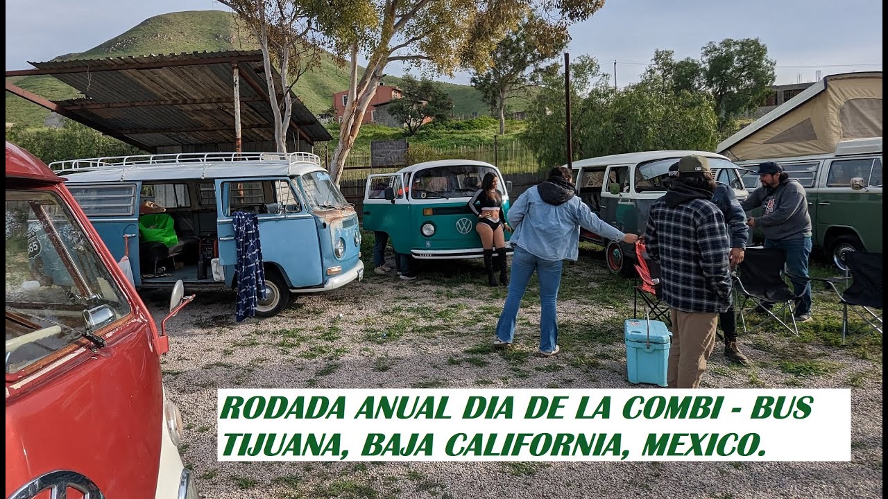Genial Rodada día de la Combi VW, Buses Only Tijuana 2023 - YouTube