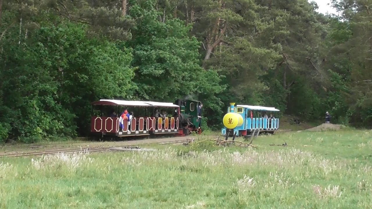 Kruispunt tussen bos en weiland Leemspoor Rijssen - YouTube