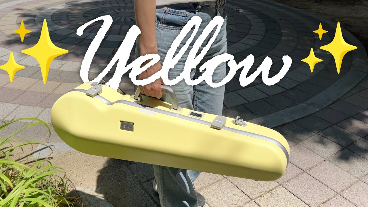 바이올린 케이스 세팅하기 GRWM | 미텐바흐 Violin Case Packing - YouTube