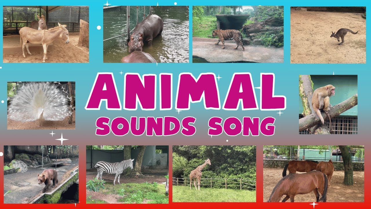 Guess The Animal Sounds | Animal Sounds Song A-120 | Kids song - YouTube