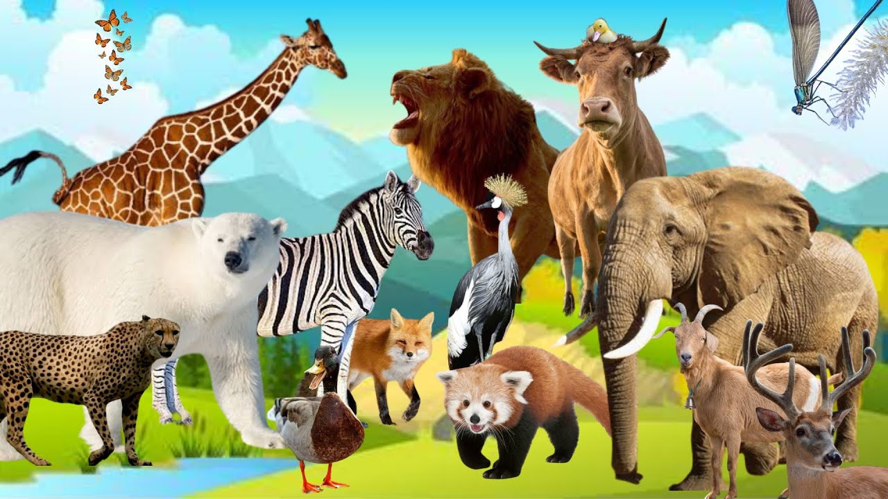Cute farm and wild animals in nature: cow, elephant, lion, giraffe ...