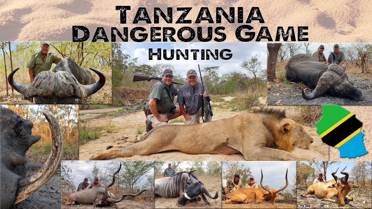 Hunting Dangerous animals. Conservation in Africa - Without these hunts ...