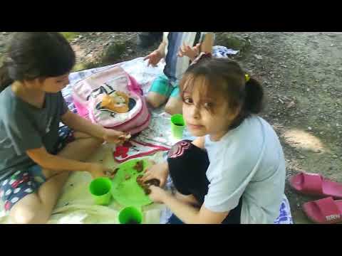 Hendek Salmandede mesire alanı