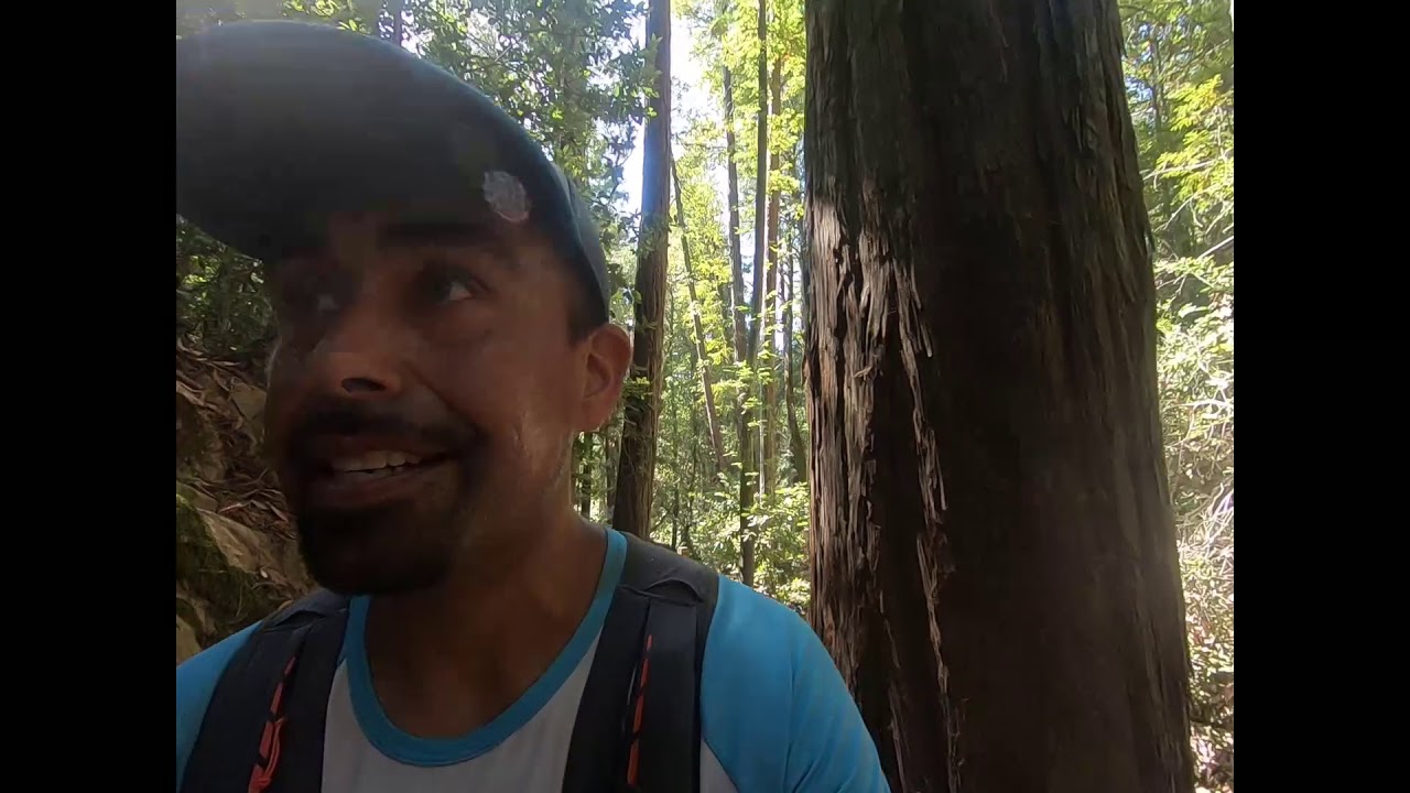 quad dipsea training run with marissa - YouTube