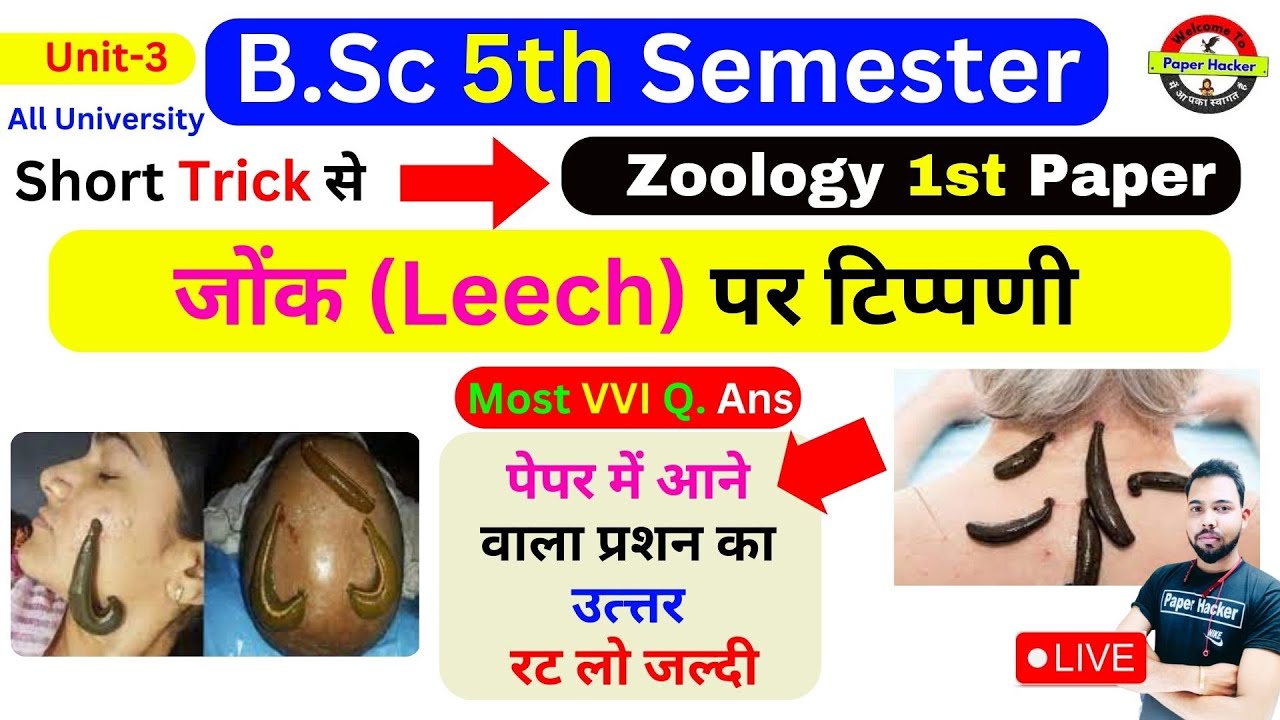 leech, जोक, leech,leech therapy,leech treatment,leeches,leech therapy ...