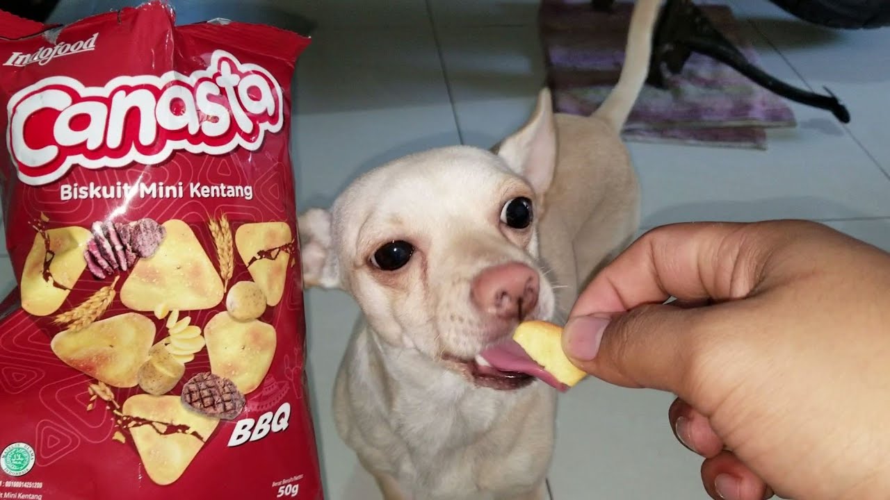Indofood Canasta Biskuit Mini Kentang Rasa BBQ - 13 December 2018 - YouTube