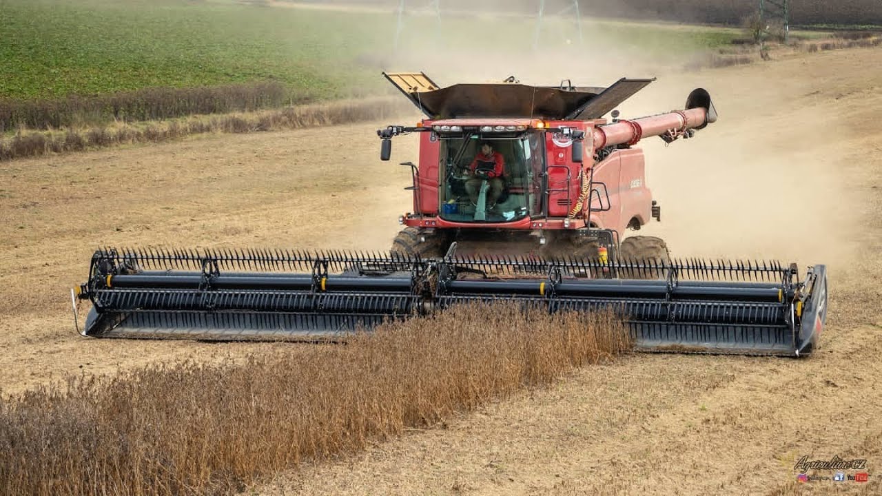 Grain Harvest CASE IH 8250 & 8240 new big Combine Harvester ll Wheat ...