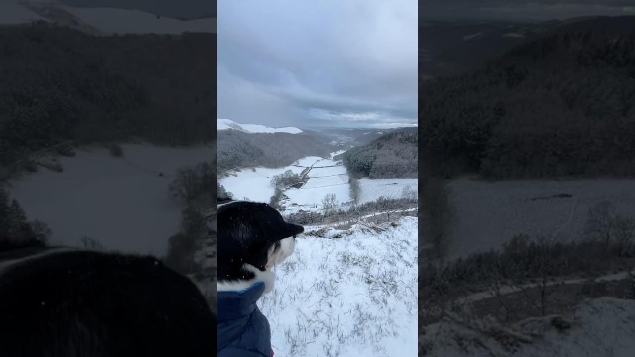 he might never see snow again - YouTube