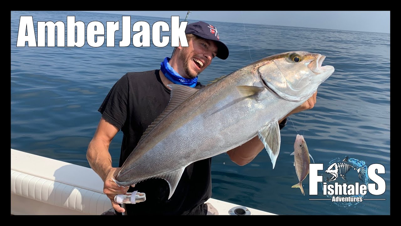Absolutly INSANE amberjack fishing and diving in Dubai and DEFEATED by ...