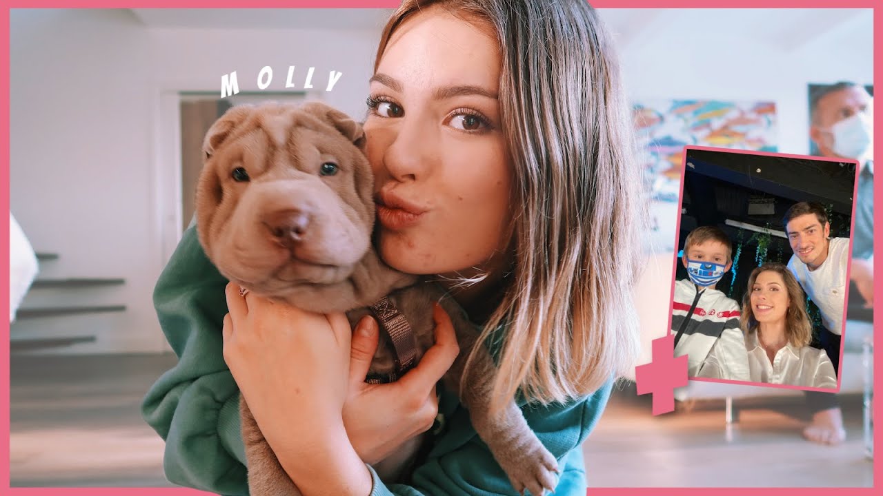 Encore un VLOG : On a adopté un chiot + Gabi rencontre Claude ! - YouTube
