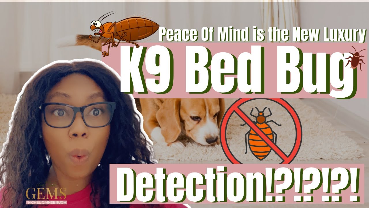 K9 Bed Bug Detection with Mike MacManus - YouTube