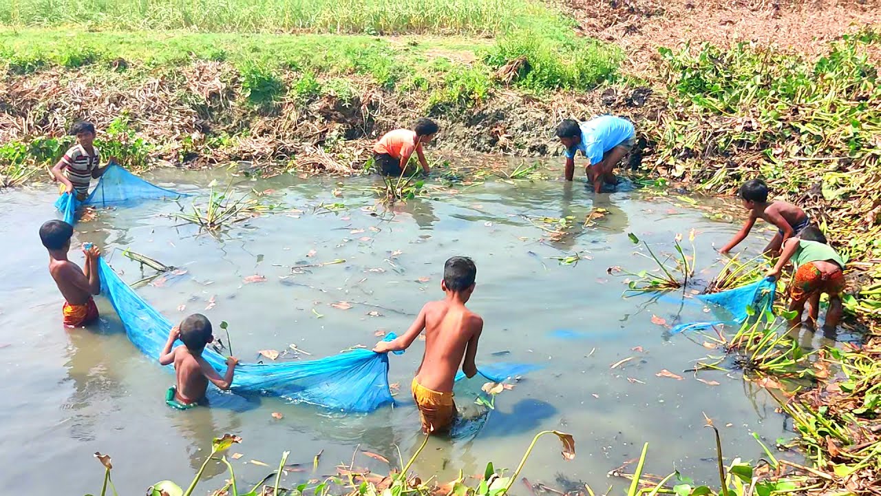 Amazing net fishing - Best net fishing in village pond - Fishing by ...