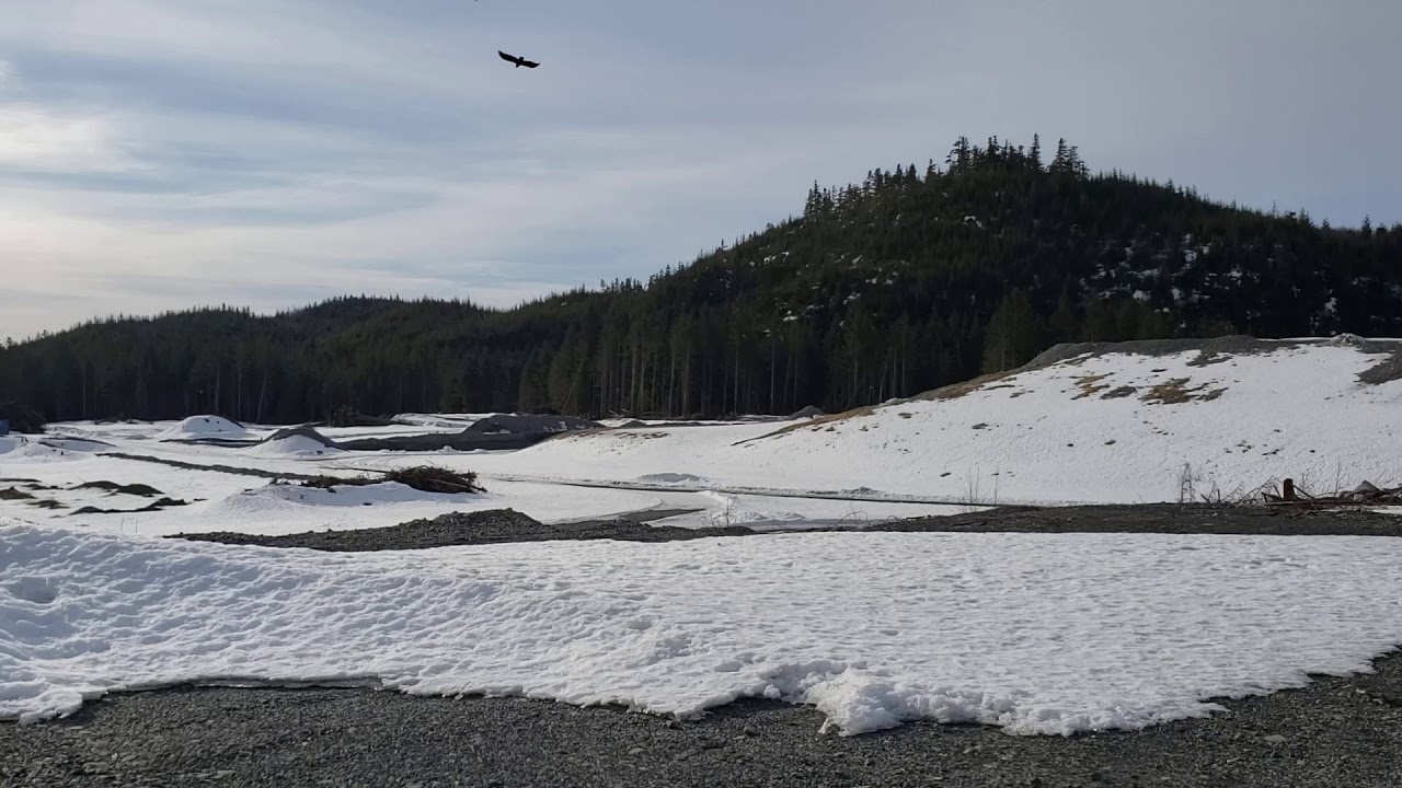 Cordova Ak Dump - YouTube