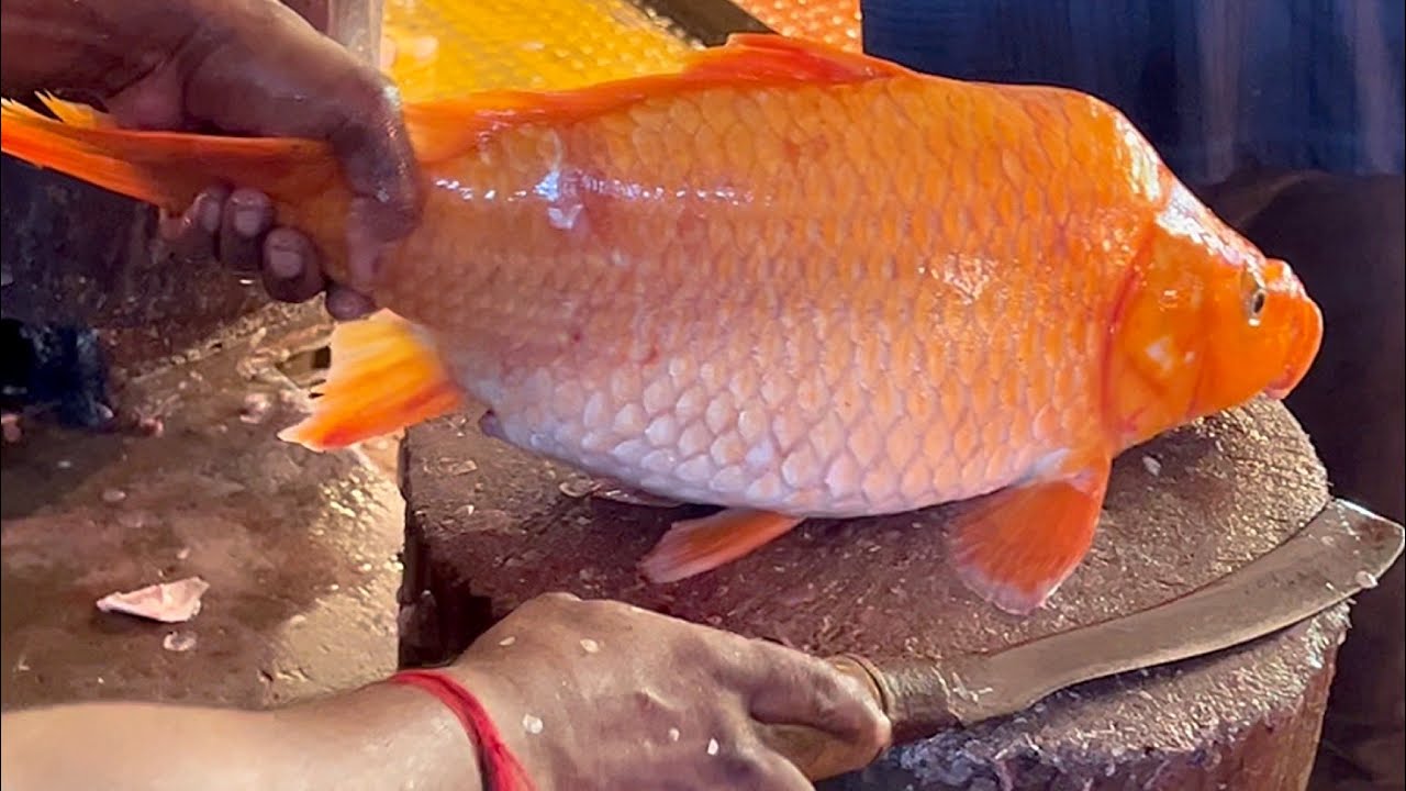 Amazing Big Golden Carp Fish Cutting By Expert Fish Cutter | Fish ...