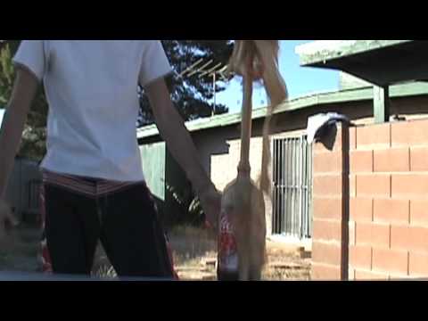 aloC-acoC sI sihT - YouTube