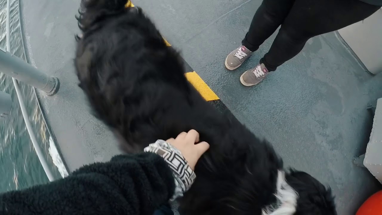 Isla Chulín, Chile - YouTube