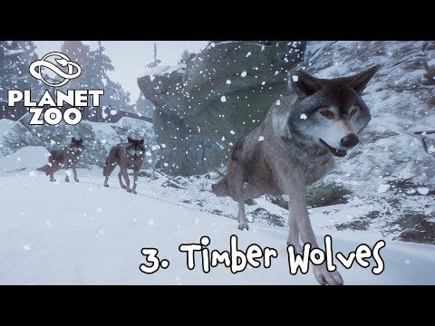 Planet Zoo Speedbuild 3: Timber Wolves - YouTube