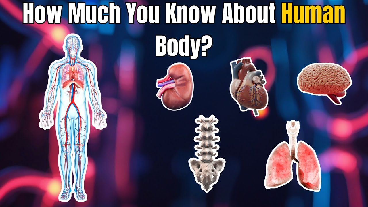 HUMAN BODY QUIZ 👂🫀🦴 | HOW MUCH DO YOU KNOW ABOUT YOUR BODY 🧠💪 | HUMAN ...