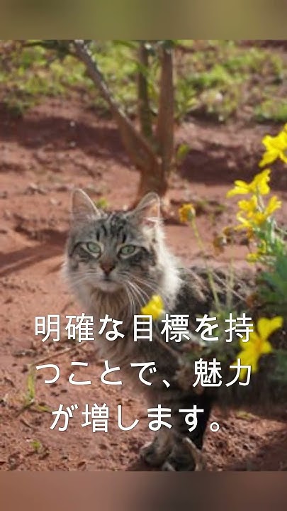 もてる男の特徴5選 - YouTube