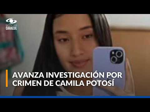 Seis allanamientos y cinco capturados: así avanza el caso de María Camila Potosí