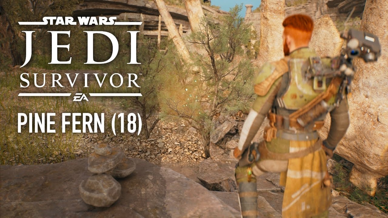 STAR WARS Jedi: Survivor - Pine Fern (18) - Seed Pods - YouTube