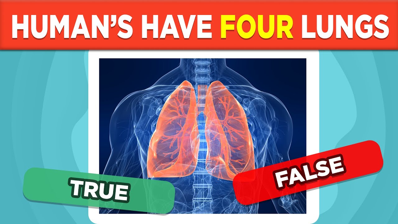 Can You Pass This Human Body Quiz? | True or False Biology Quiz - YouTube
