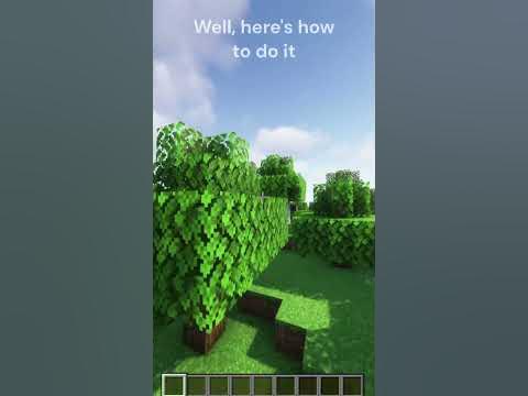 How to see Chunk Borders in Minecraft - YouTube