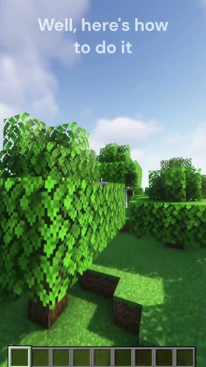 How to see Chunk Borders in Minecraft - YouTube