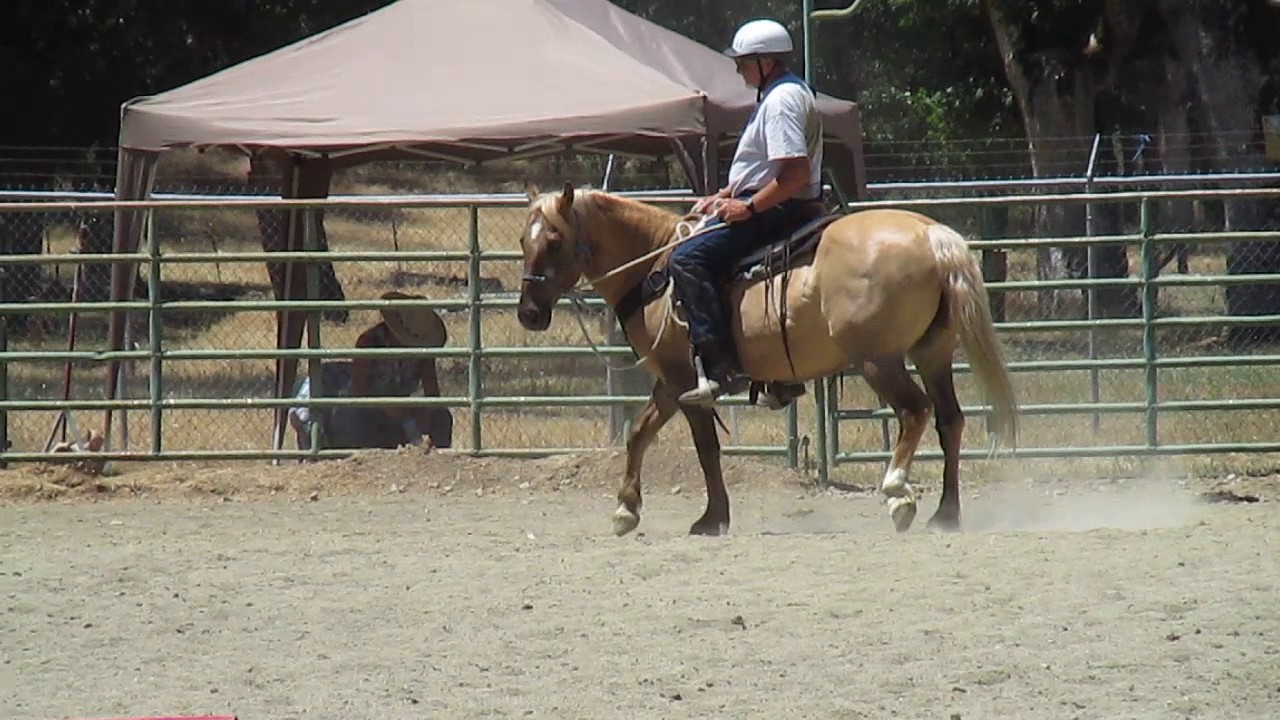 Jerry Hurry Scurry enter - YouTube