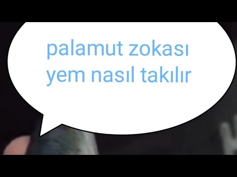 #palamutzokası Zokaya yem nasıl takılır.. Abone olabilirsiniz