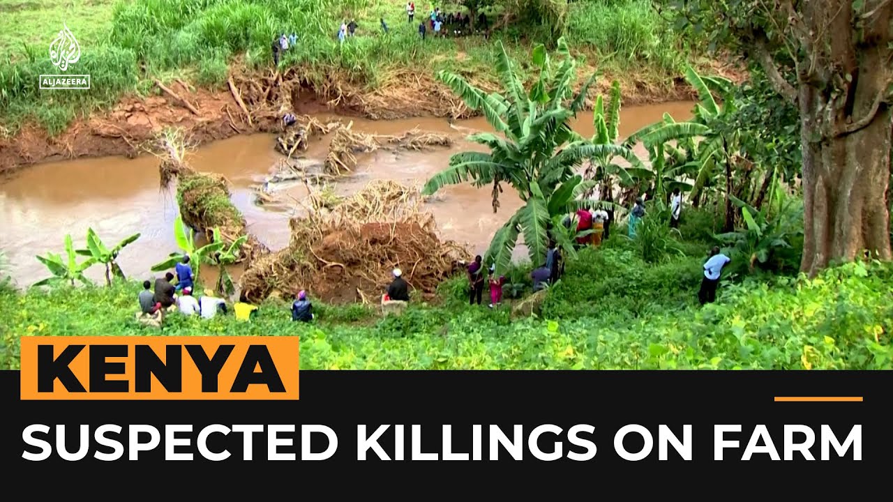 Suspected killings on Del Monte pineapple farm in Kenya | Al Jazeera ...