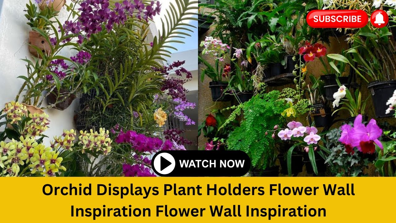 Stylish Garden Wall Decor Ideas Orchid Displays Plant Holder Flower ...