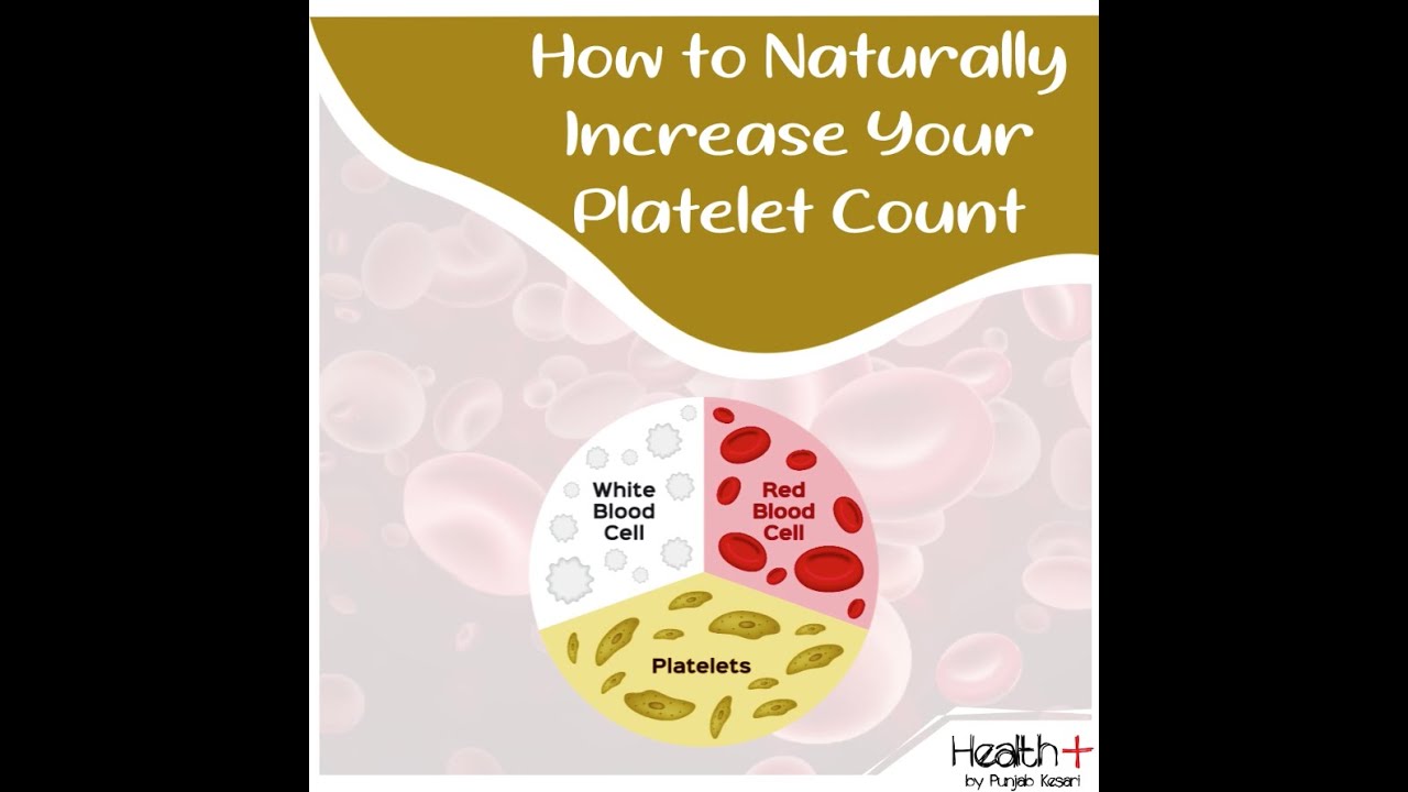 How to Naturally Increase Your Platelet Count - YouTube