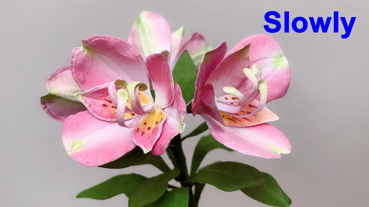 ABC TV | How To Make Peruvian Lily Paper Flower | Flower Die Cuts ...