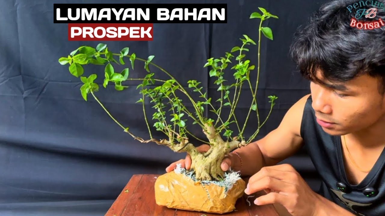 Lumayan lah buat bahan blajar - YouTube