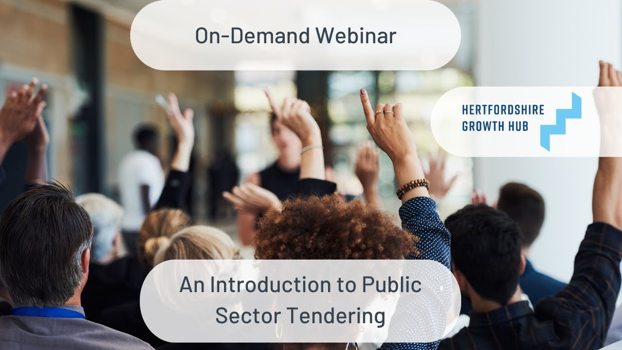On-Demand Video: An Introduction to Public Sector Tendering Webinar ...
