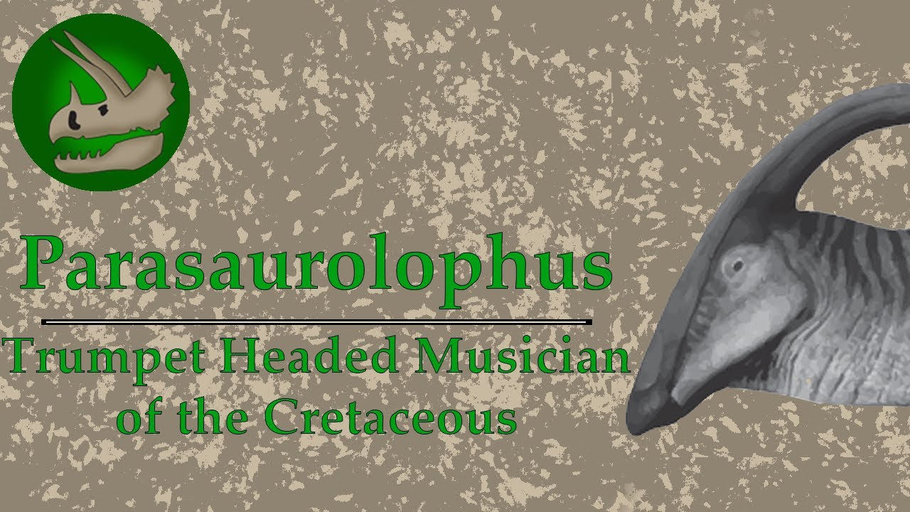Parasaurolophus | Trumpet Headed Musician of the Cretaceous - YouTube