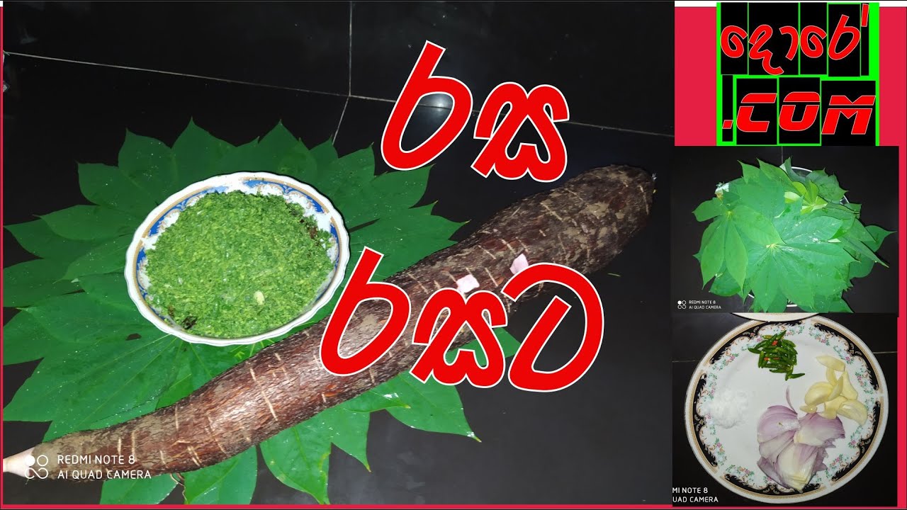 how to make maiyokka malluma - මඤ්ඤොක්කා - cassava leaves - manyokka ...