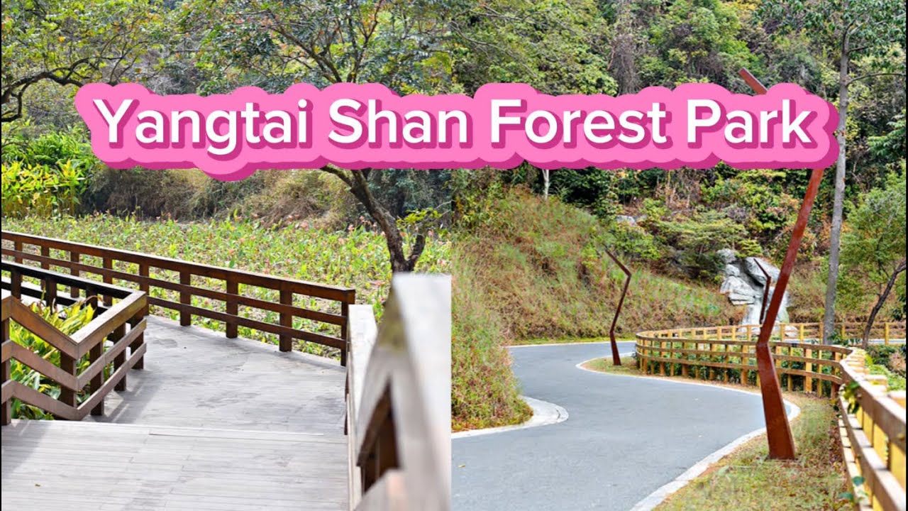 Yangtai Shan Forest Park, Shenzhen, China - YouTube