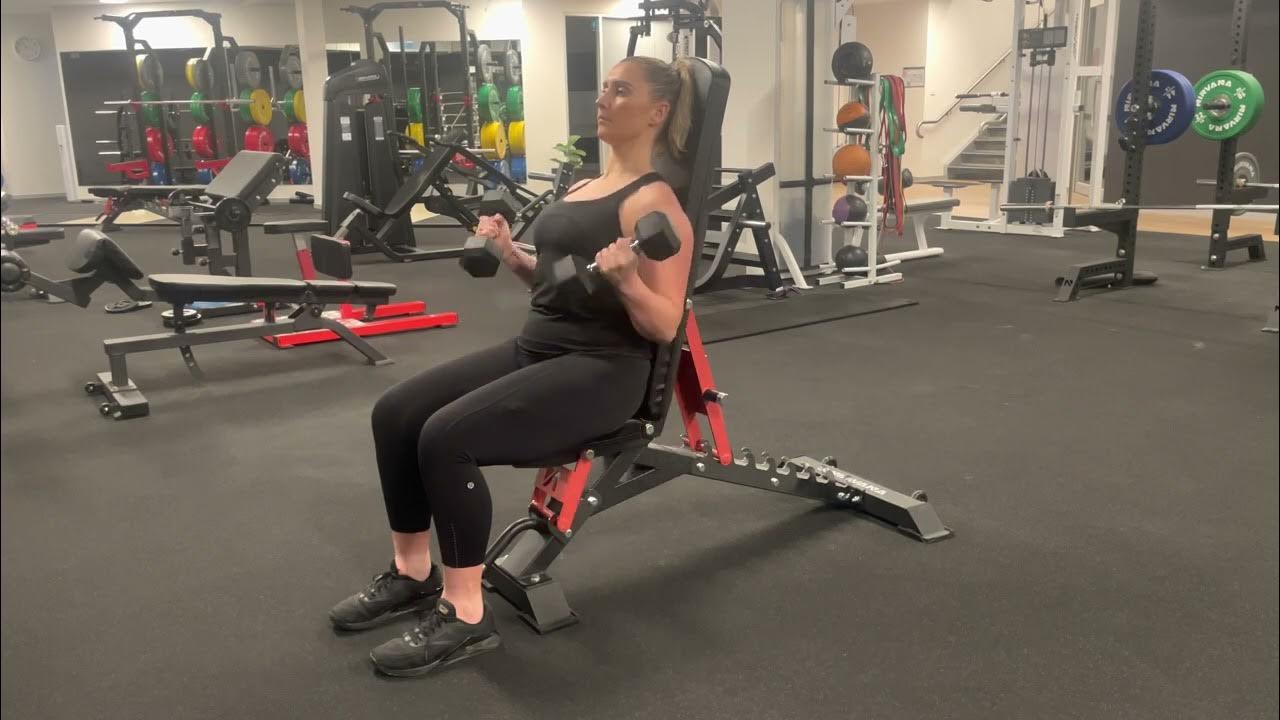 Seated Dumbbell Bicep Curl Supinated - YouTube