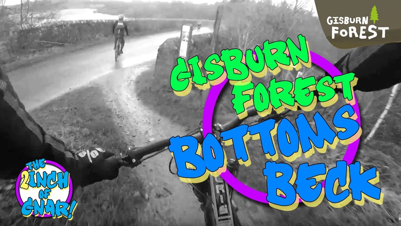 Gisburn Forest | Bottoms Beck Trail | Blue Route - YouTube