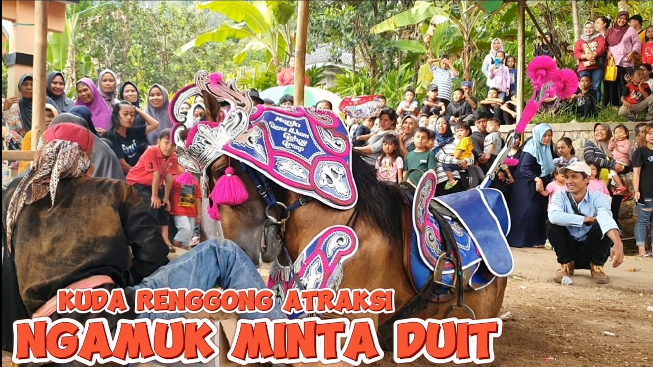 Kuda renggong ngamuk - Atraksi kuda renggong ngamuk - YouTube