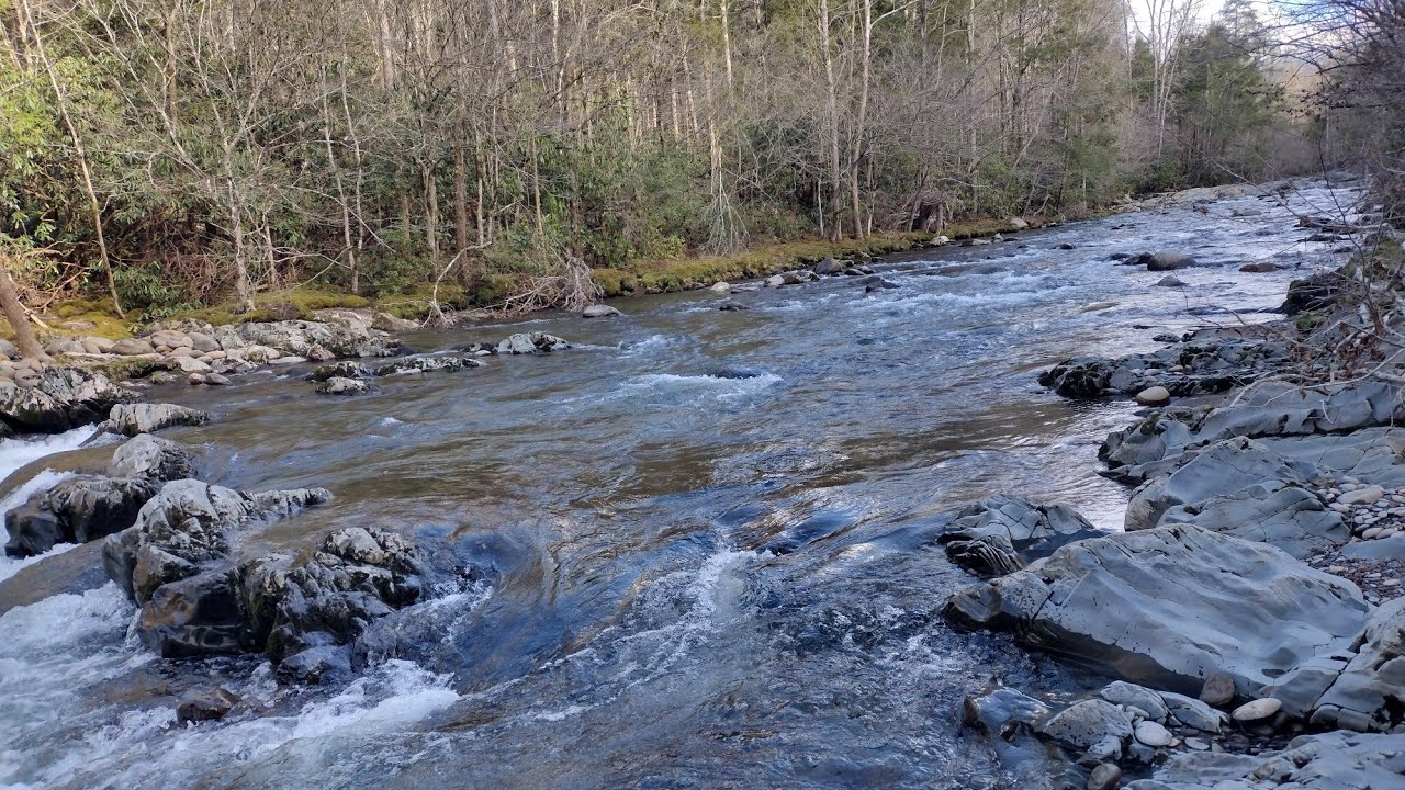 The Secret of How I Capture the Sounds of Gatlinburg Creeks for my ...