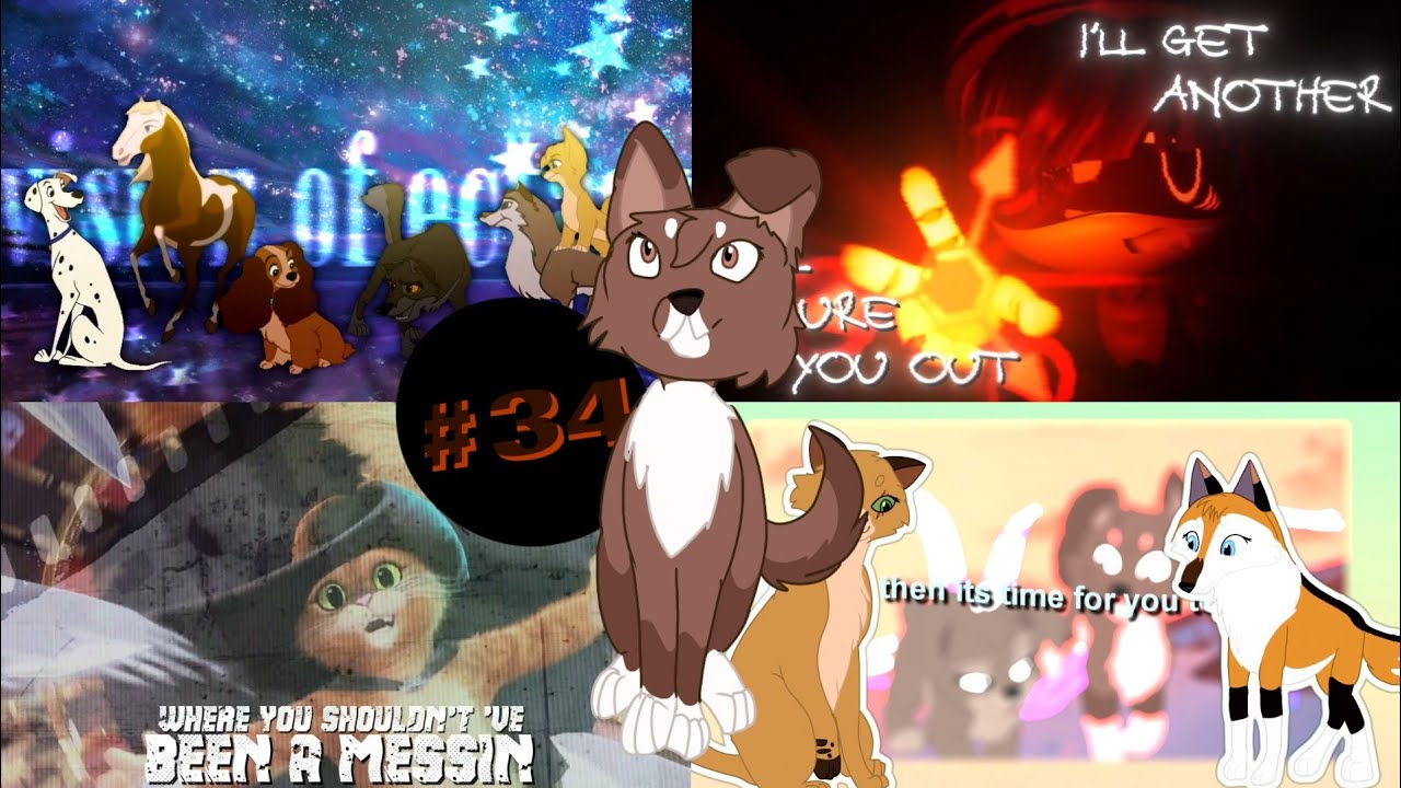 A Jane MEP PART Collection #34 🍂🎃 [ JUNE-NOVEMBER ] - YouTube