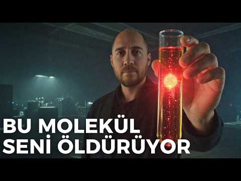 Kadim Koruyucumuz Nasıl Celladımıza Dönüştü? | Stresin Evrimsel Hatası