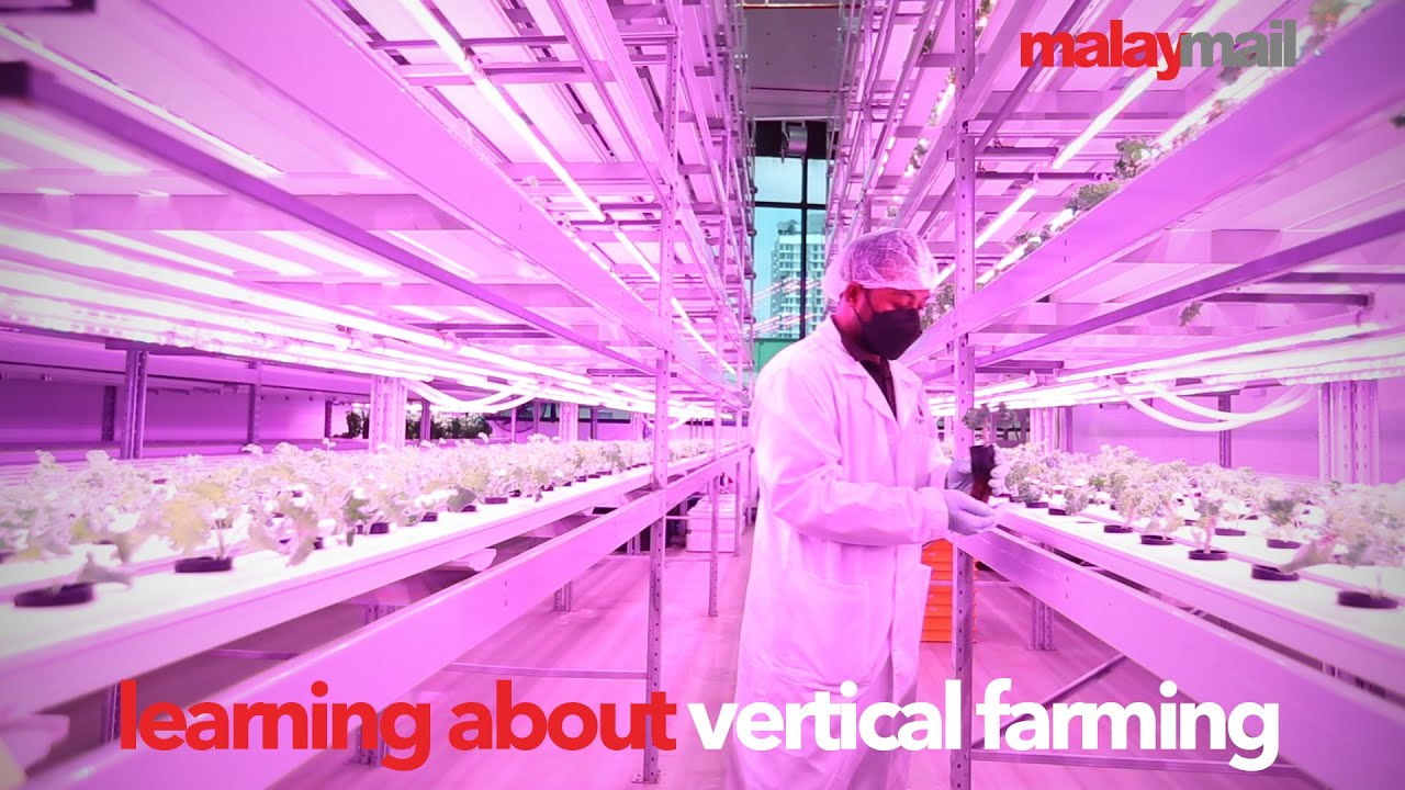 Learning about Vertical Farming - YouTube