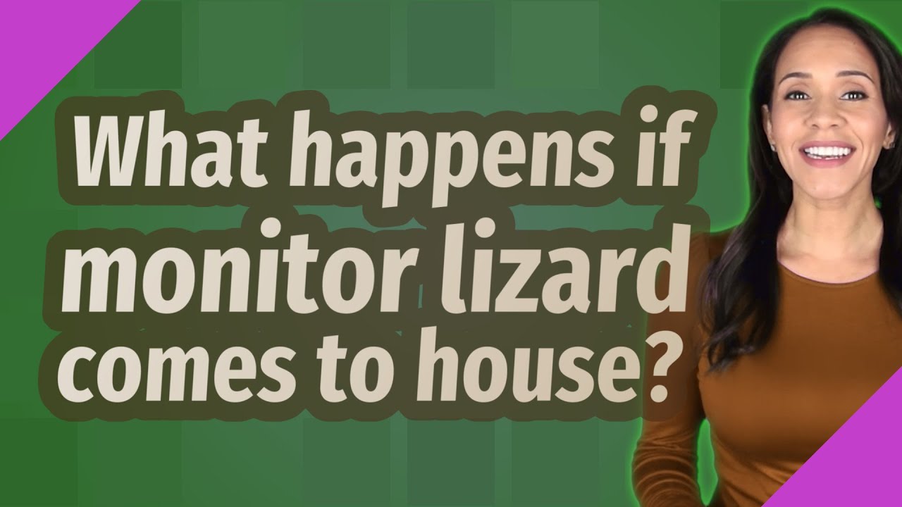 What happens if monitor lizard comes to house? - YouTube