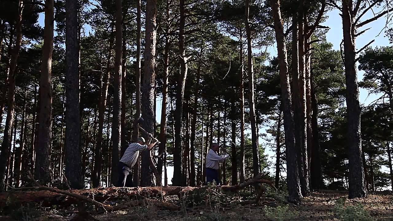 UNESCO Man and Biosphere Programme (MAB programme) in Spain, 2015 - YouTube